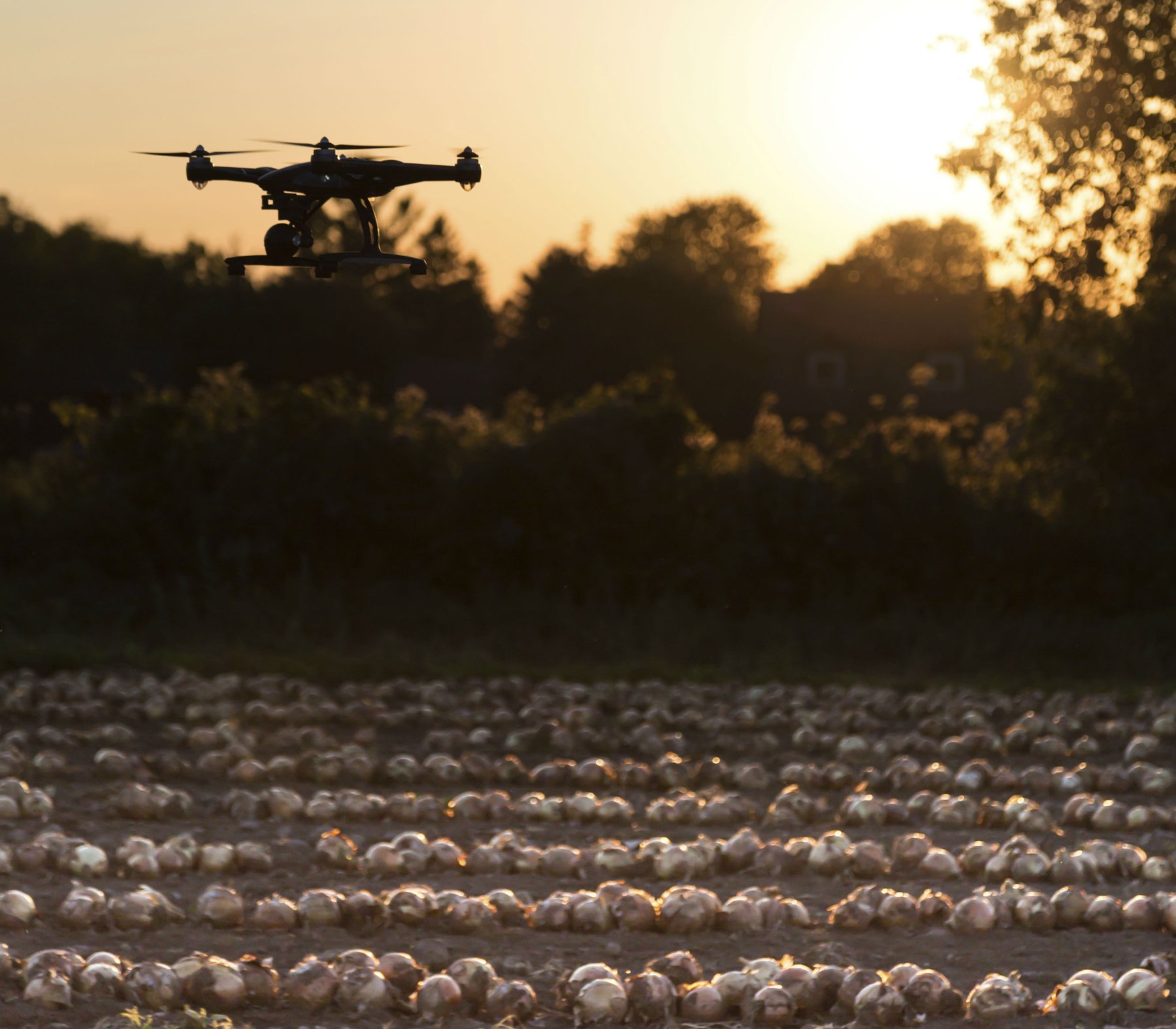 The Future of Farming: UAS in Precision Agriculture